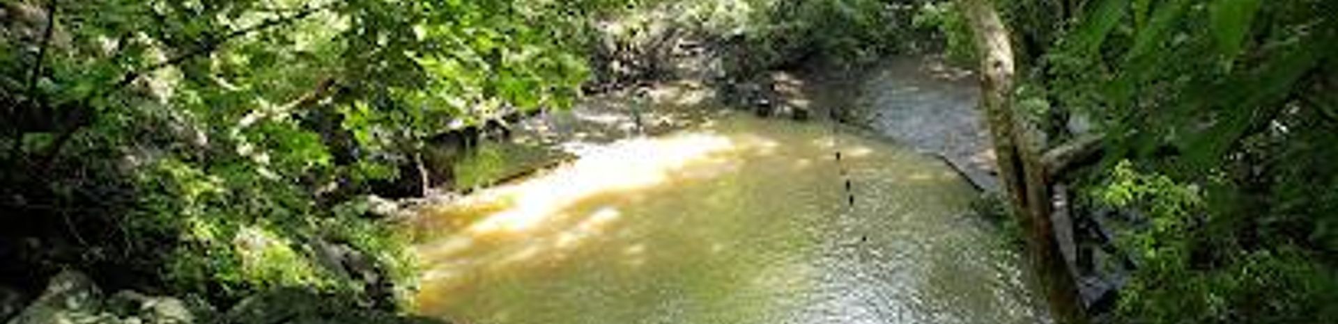 Cinquera Forest Ecological Park: A Sanctuary of Nature and History