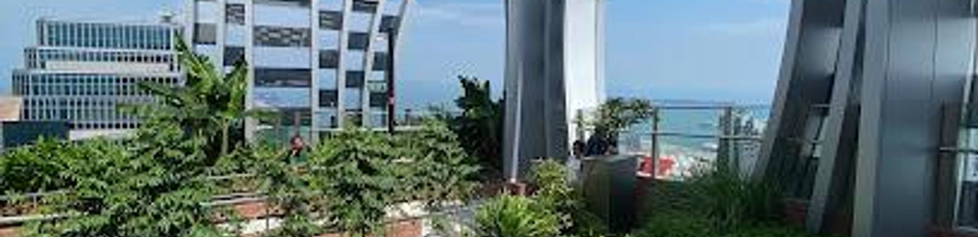 Sky Garden at CapitaSpring: An Urban Oasis