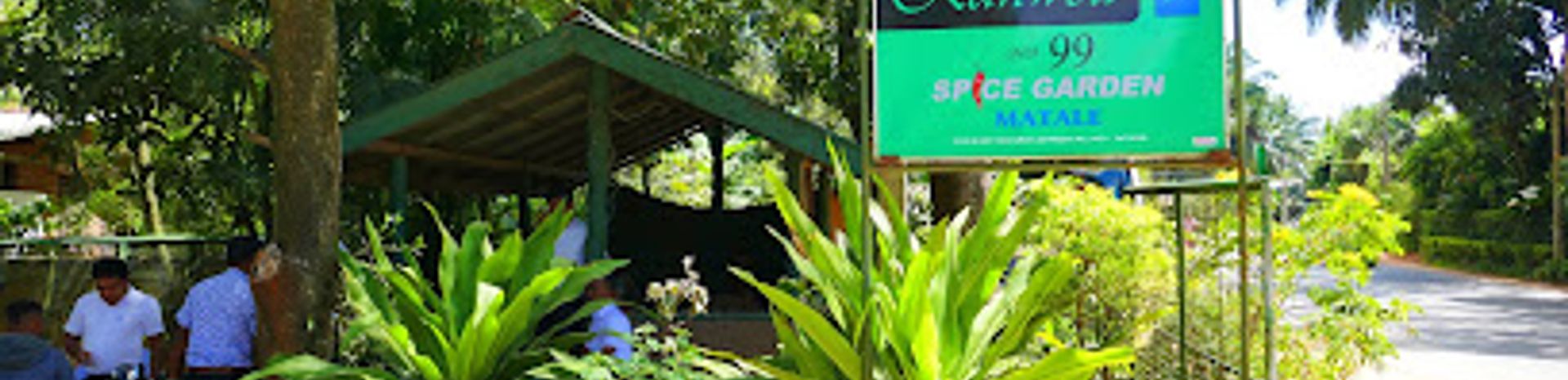 Discover the Aromas of Ranweli Spice Garden