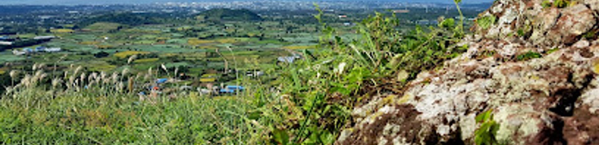 Discover the Natural Beauty of Geum Oreum