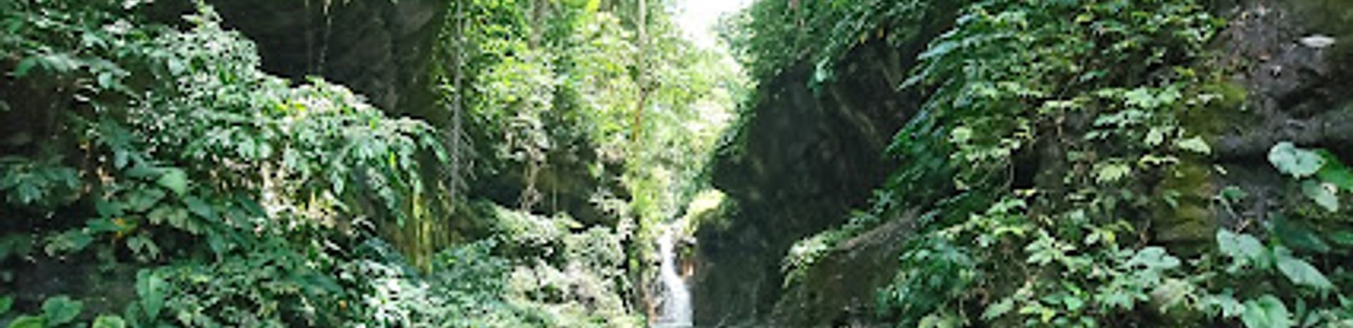 Discover the Serenity of Hidden Valley Falls