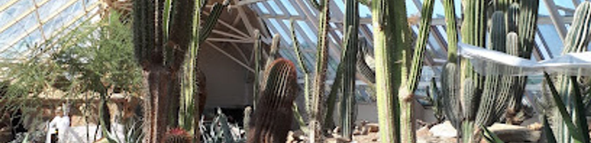 Discover the Charm of Samcheon-dong Makgeolli Alley