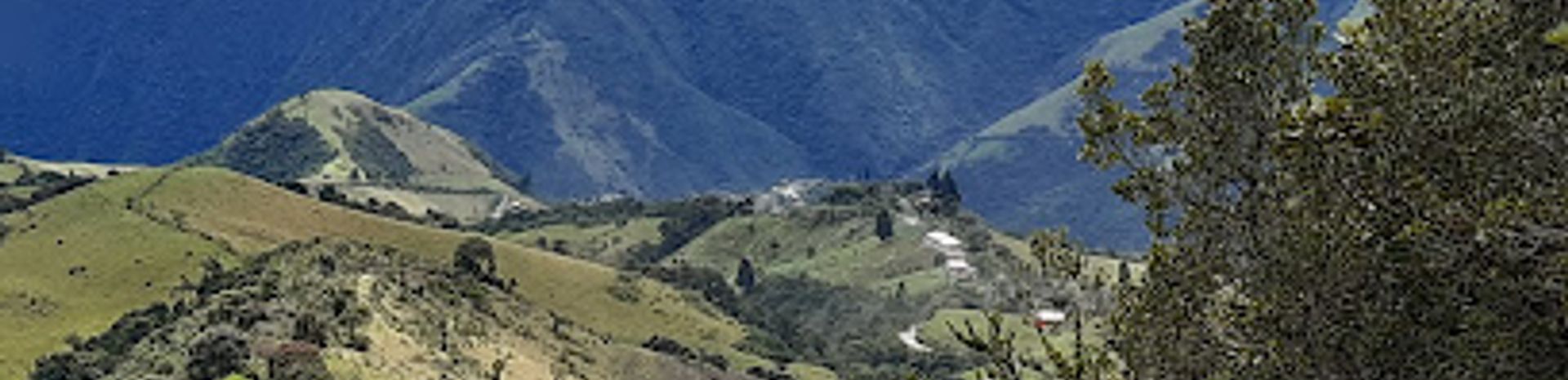 Discover the Wonders of Yanacocha Biological Reserve