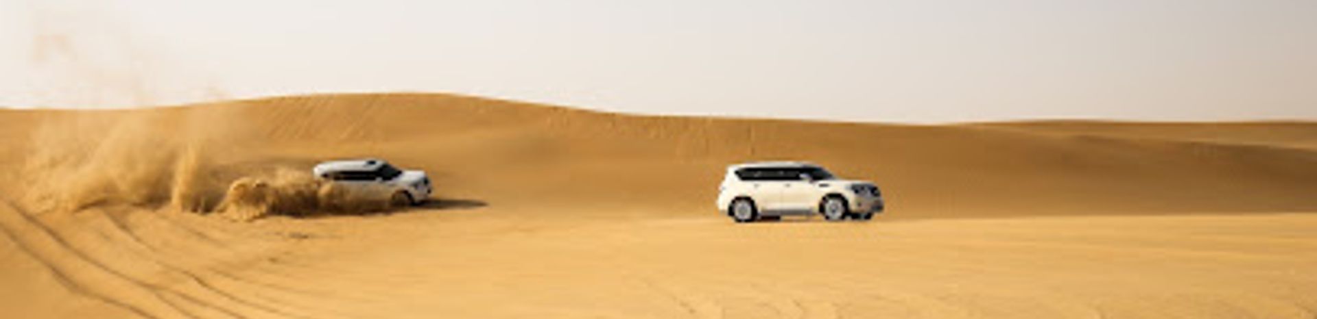 Experience the Thrill of Doha's Desert Safari with Falcon Tours