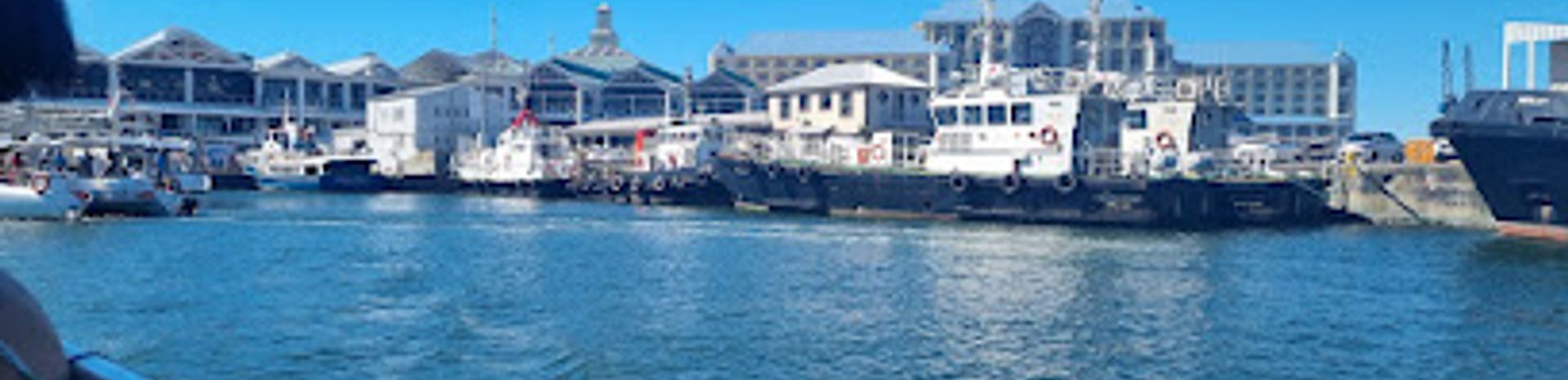 Adventure Awaits at Wild Horizons Waterfront Adventures