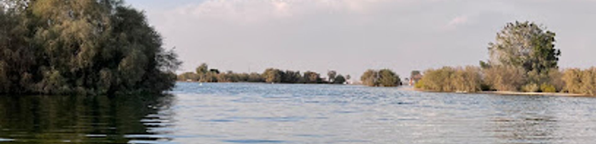 Discover the Majestic Al Wathba Racetrack Lake