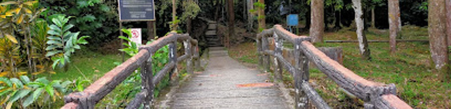 Experience Nature at FRIM Camping Area