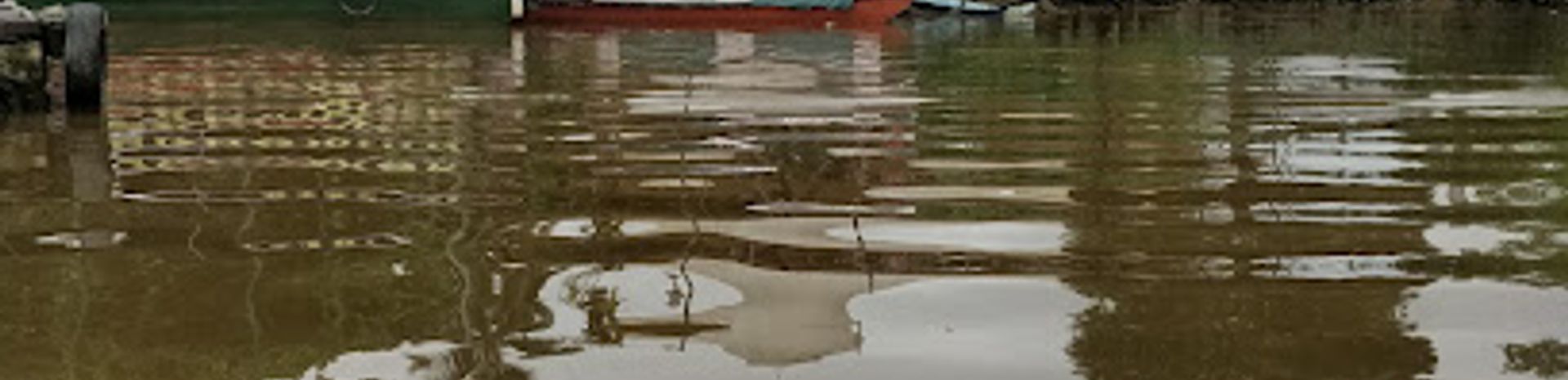 Exploring History at The Brooke Gallery