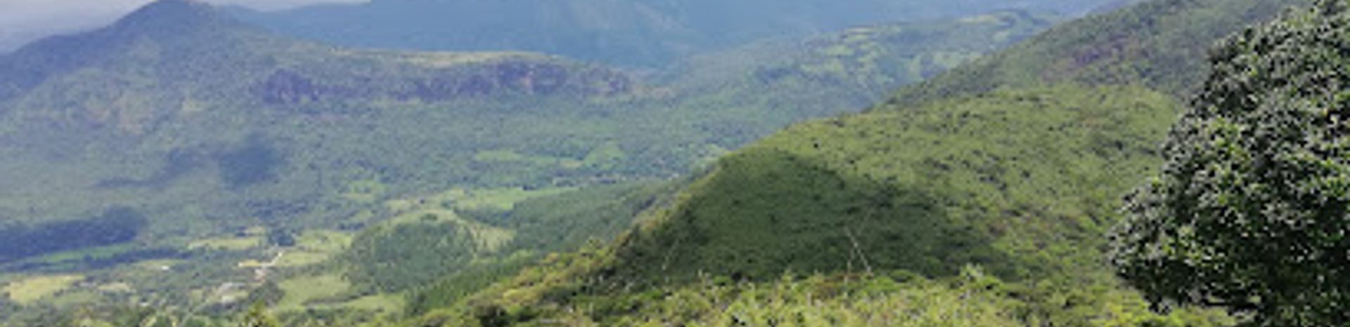 Explore the Wonders of Knuckles Forest Reserve