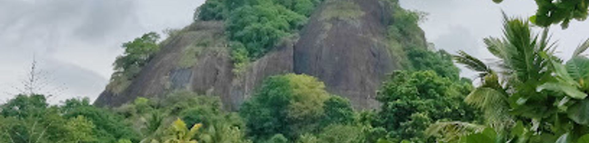 Discover the Majesty of Dambadeniya Raja Maliga Gala
