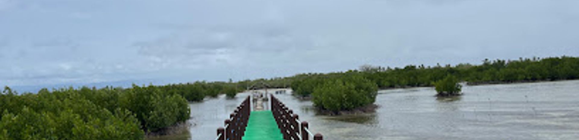 Experience Nature's Wonders at Olango Wildlife Observation Deck