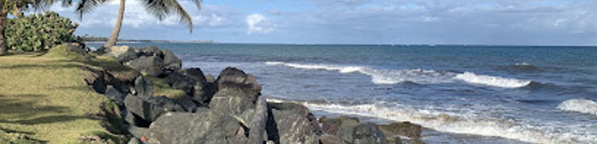 Discover the Tropical Paradise of Playa Del Dorado