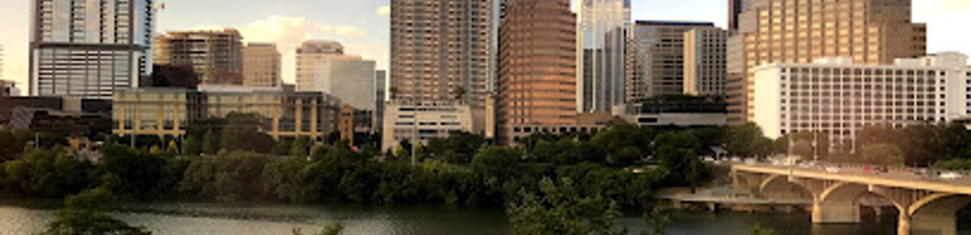 Experience the Enchanting Bat Observation at the Statesman Bat ...