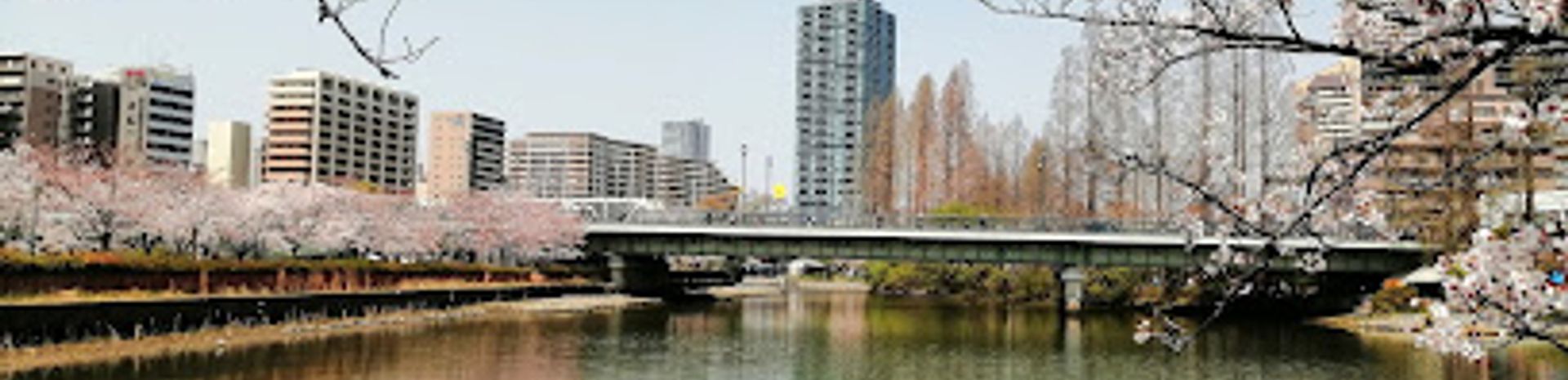 Discover the Serenity of Osaka Waterfront Park: Sakuranomiya Beach