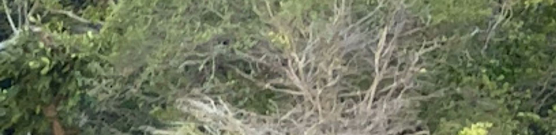 Wilpattu National Park Entrance: Gateway to Nature's Wonderland