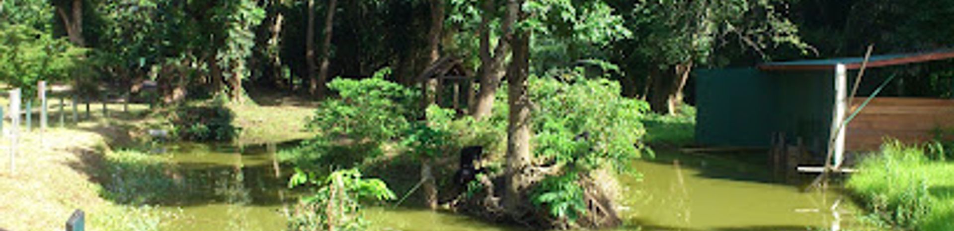 Explore the Wonders of Paramaribo Zoo