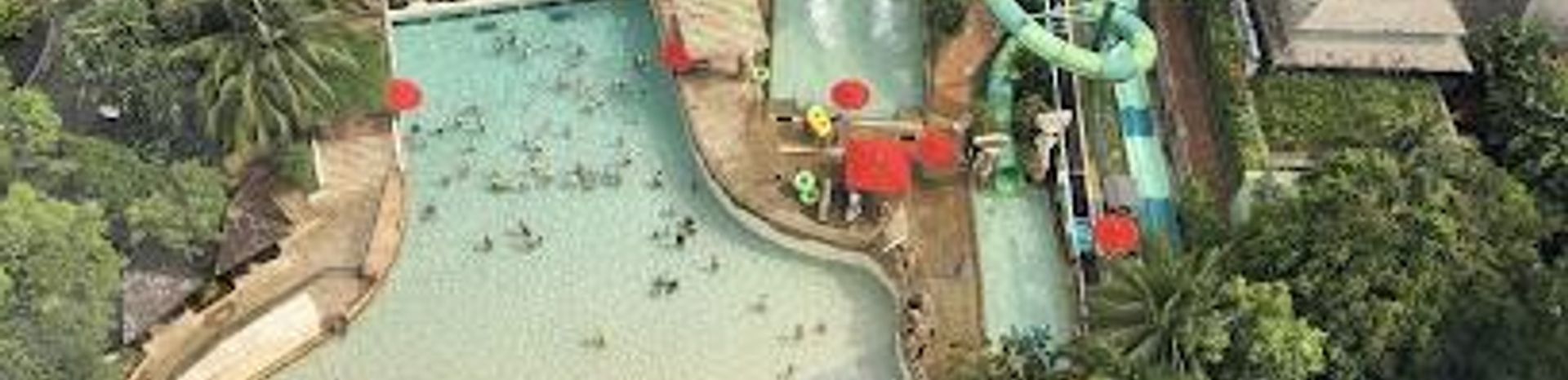 Dive into Fun at Adventure Cove Waterpark