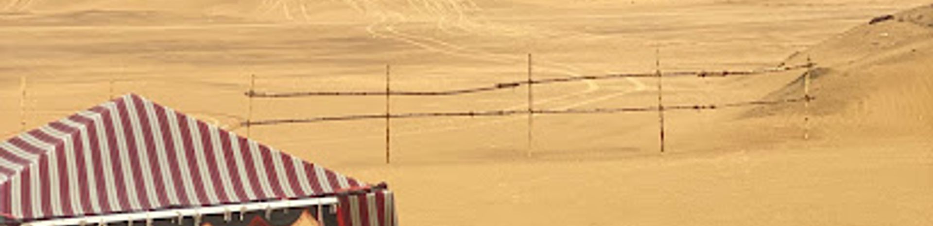 Experience the Magic of the ICL Lama Tourism Platinum Desert Safari Camp