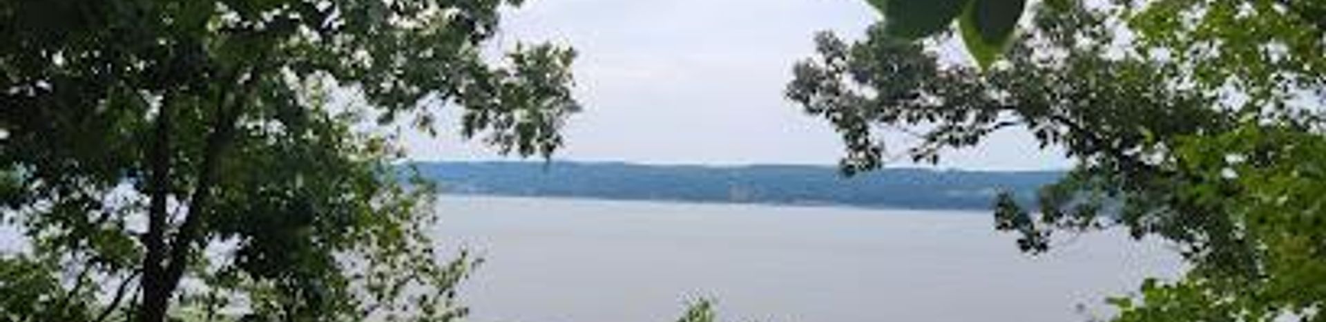 Explore the Natural Wonders of Tallman Mountain State Park