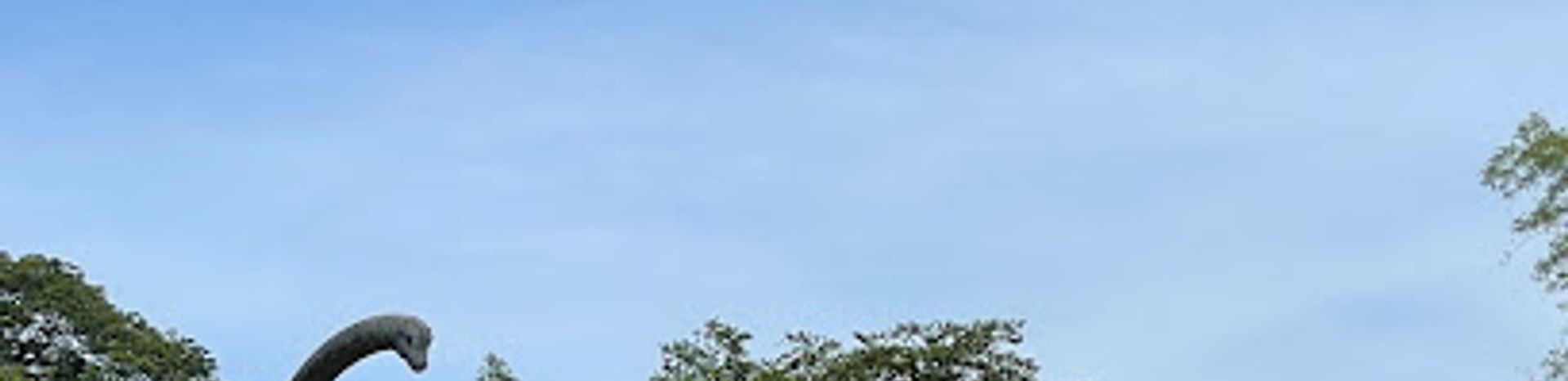 Explore the Wonders of Baluarte Safari Gallery