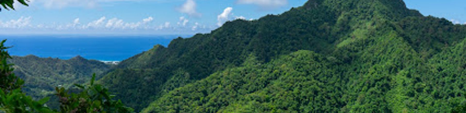 Ridge Junction - Cross Island Hike: Rarotonga's Jungle Heart