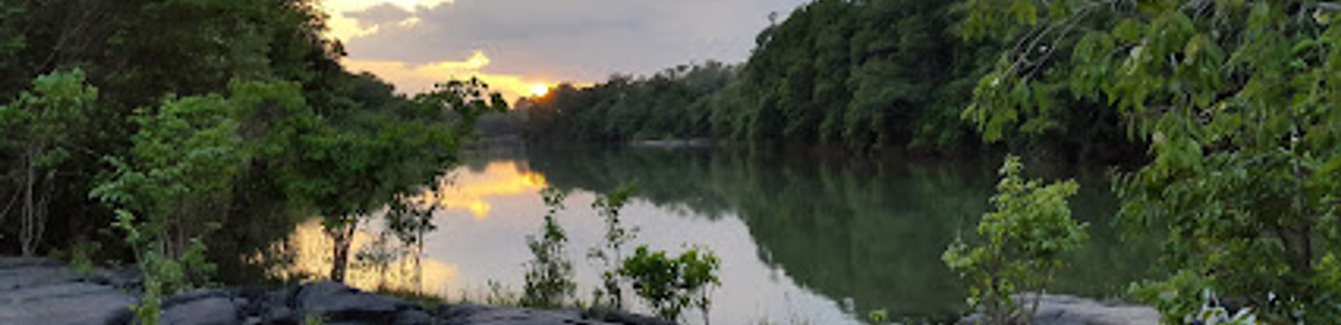 Discover the Natural Wonders of Comoé National Park