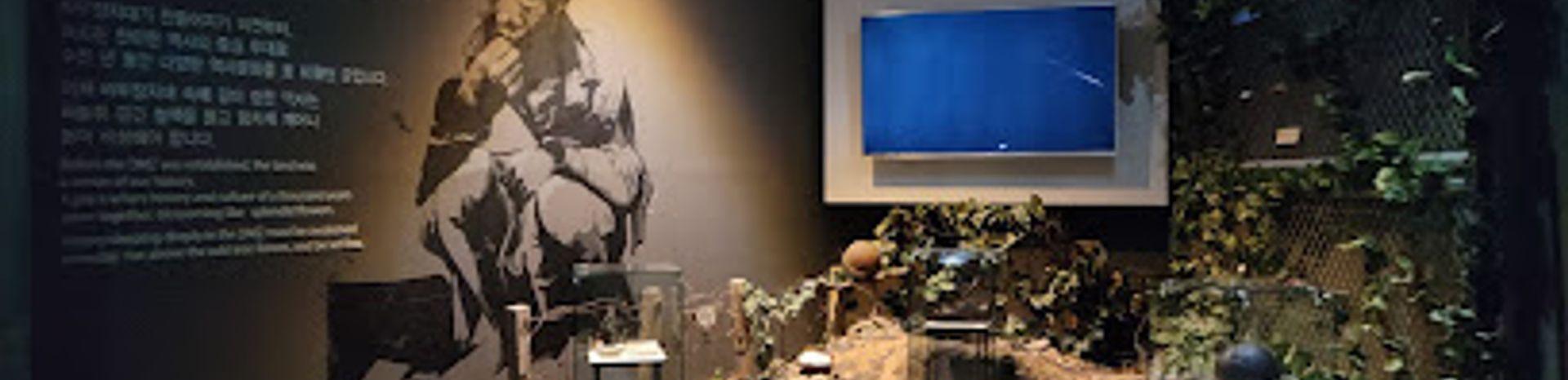 Explore the Rich Heritage at the DMZ Museum