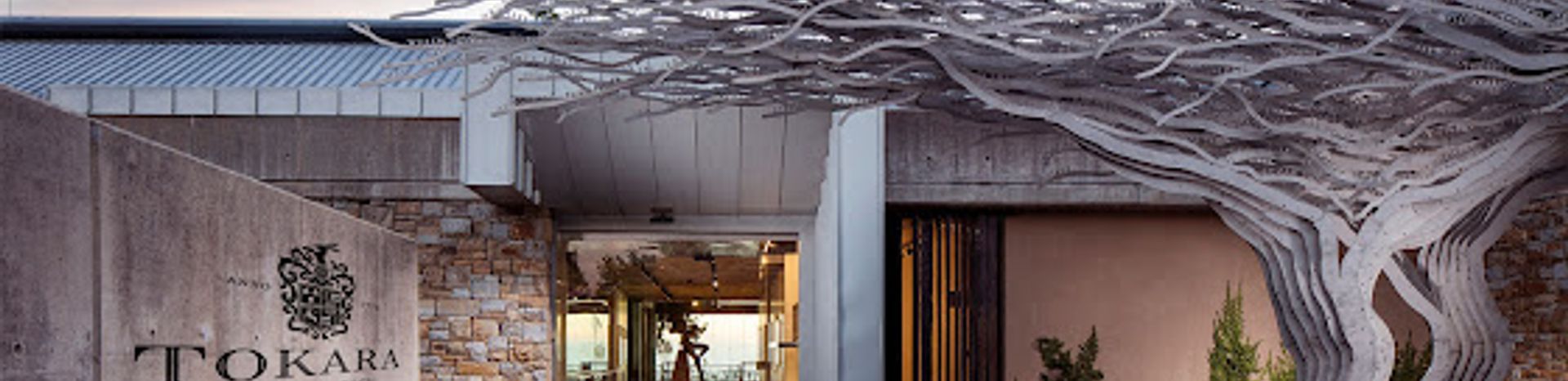 Discover the Charm of Tokara Wine Estate