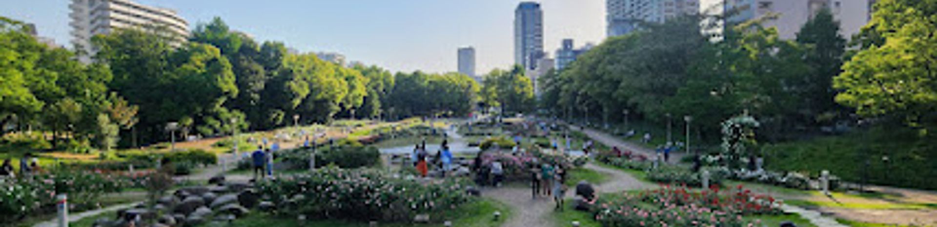 Utsubo Park: A Serene Escape in the Heart of Osaka