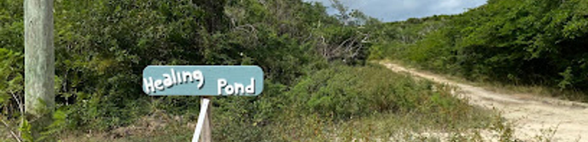 Healing Pond: A Serene Escape in Port Howe