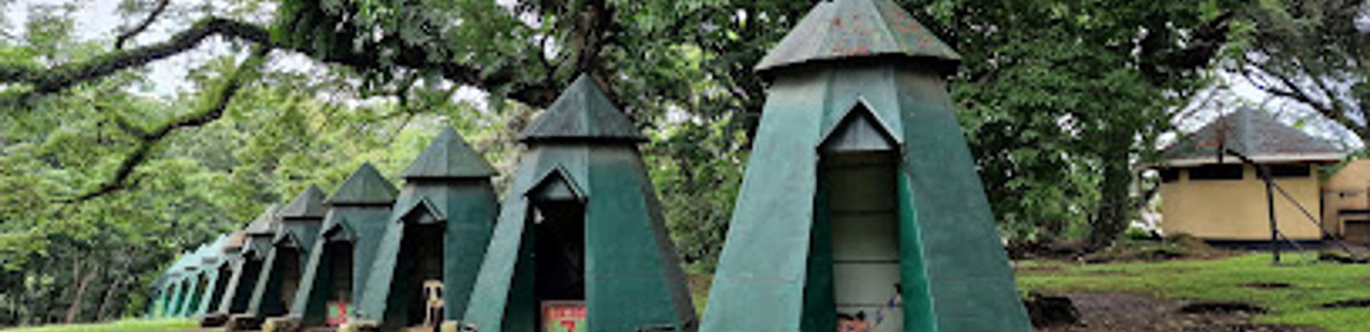 Discover the Natural Beauty of Pasonanca Park