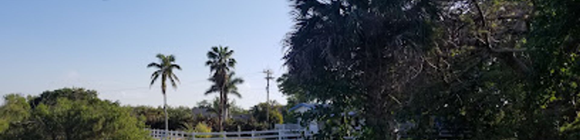 Explore the Calusa Heritage Trail: A Journey Through Florida's Rich History