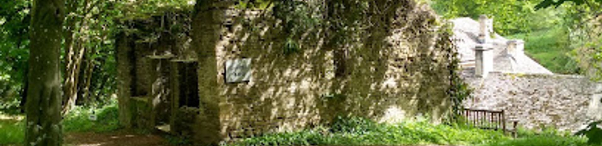 A Floral Symphony: Exploring Cerney House Gardens