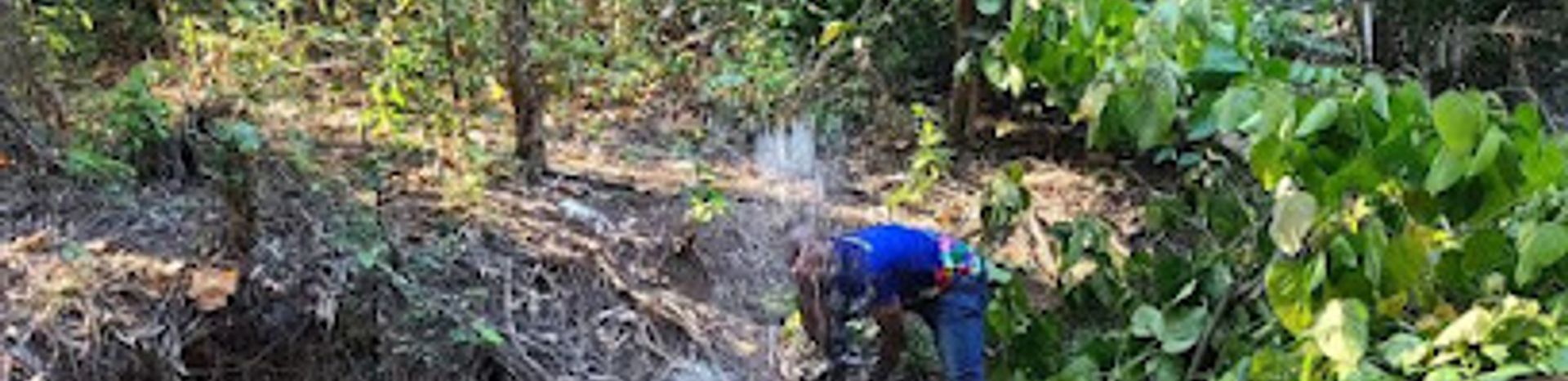 Discover the Rau Forest Reserve: A Natural Paradise