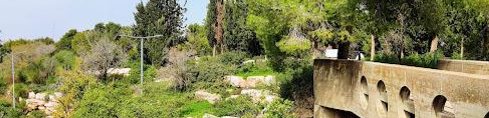 Discover Serenity at the Botanical Garden of the Hebrew University on ...