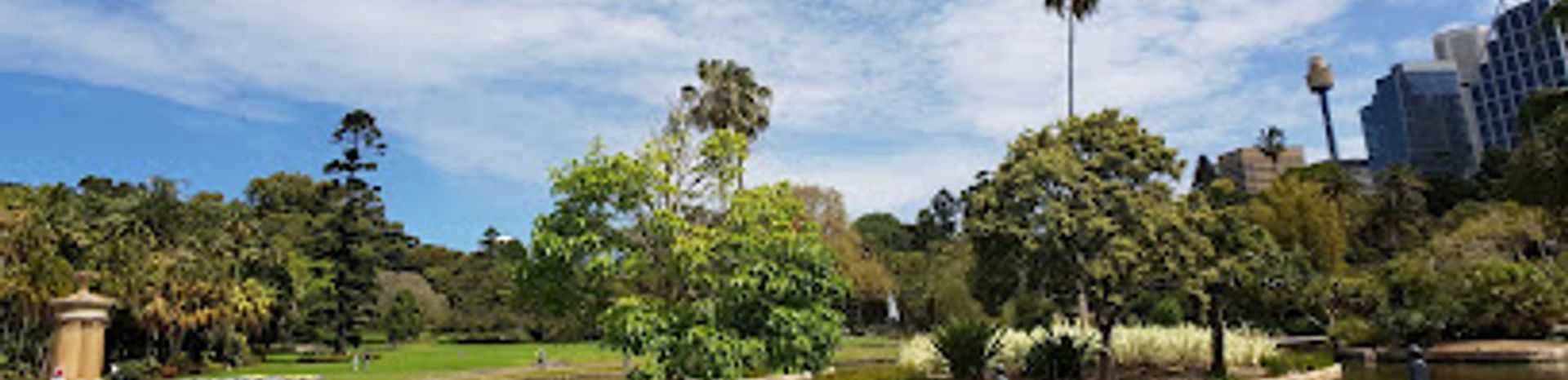 Hyde Park: Sydney's Urban Oasis