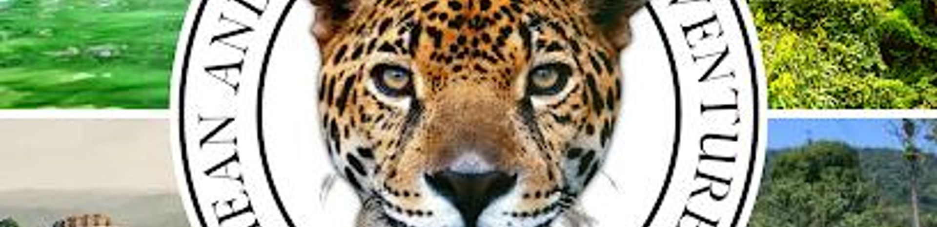 Discover the Thrill of Malula Beach Bar N Grill