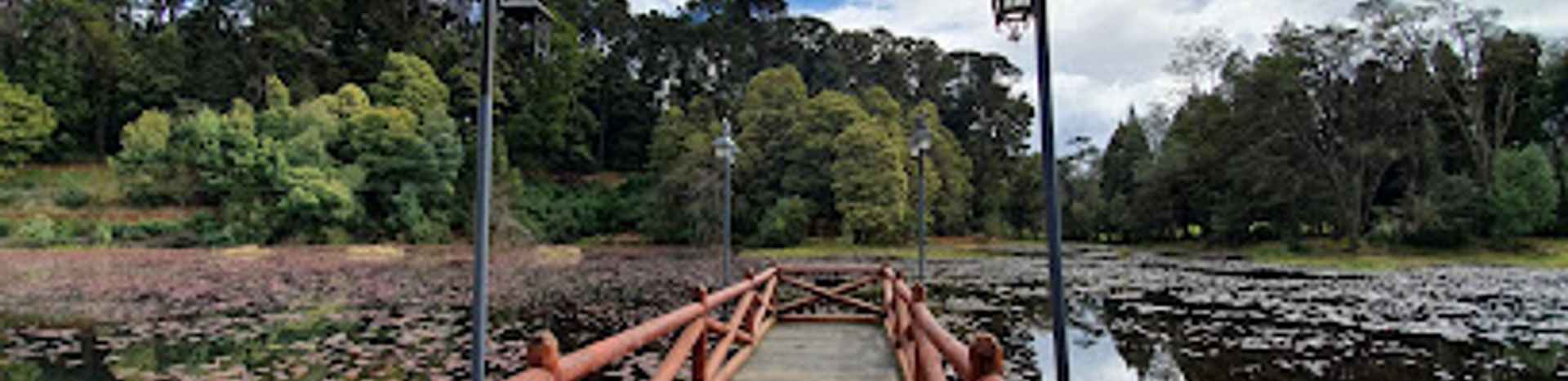 Discover the Serenity of Parque Saval in Valdivia