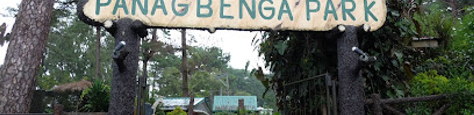 The Blossoming Beauty of Panagbenga Park