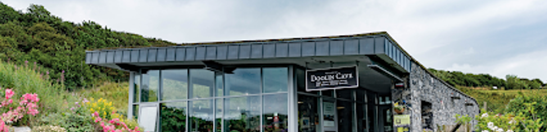 Doolin Cave: A Natural Wonder in the Heart of County Clare