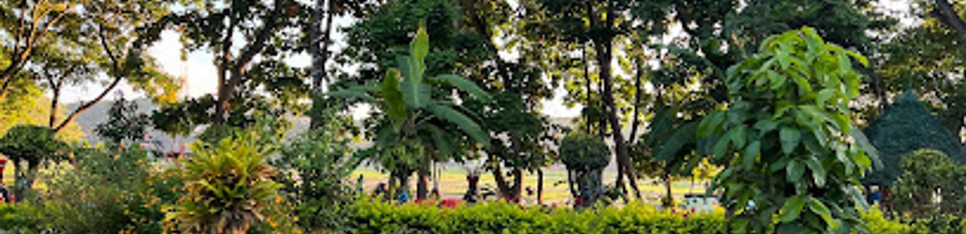 Discover the Wonders of Zanzibar Park