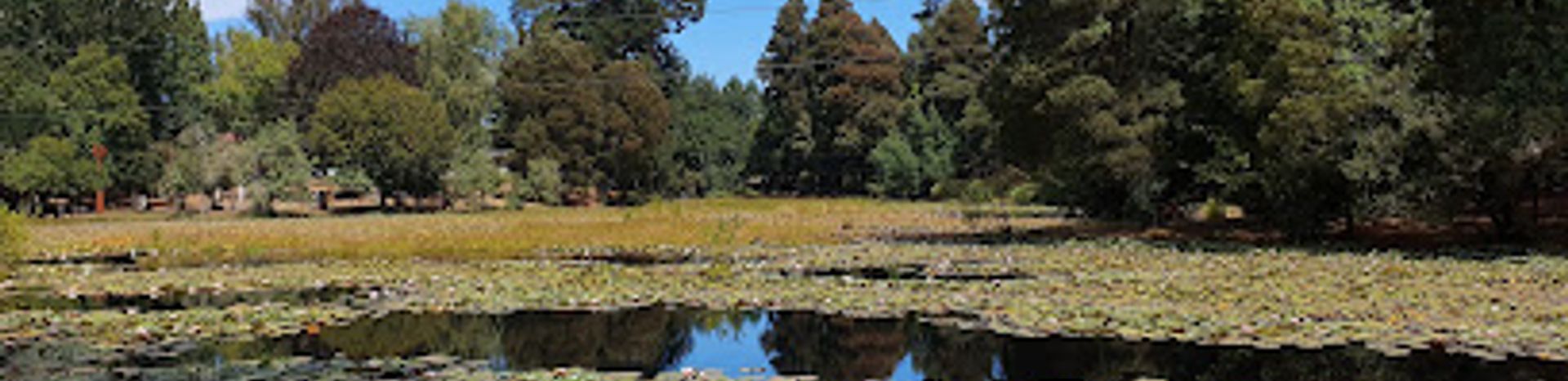 Discover the Serenity of Parque Saval