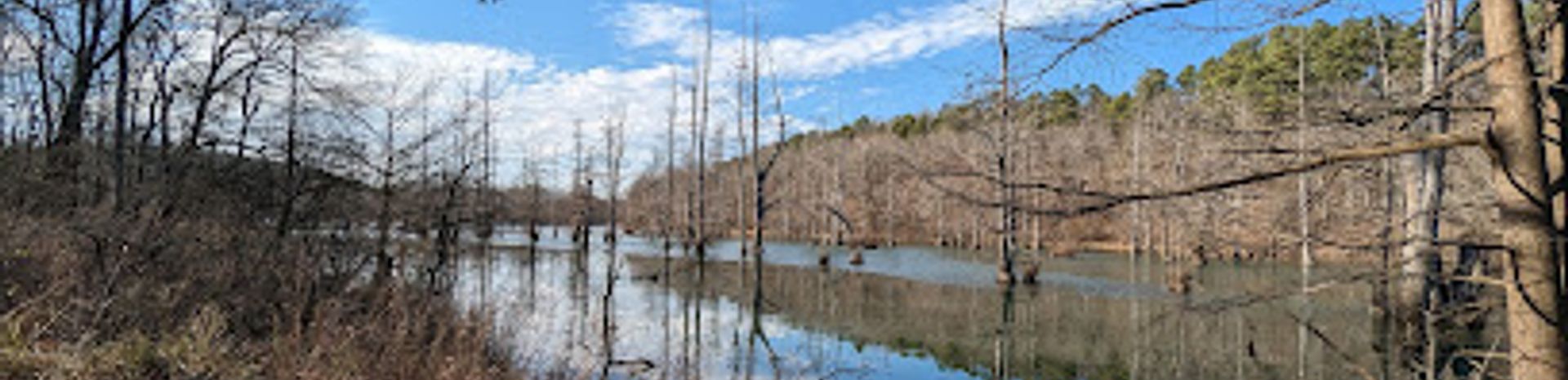 William Kirsch Preserve: An Urban Oasis