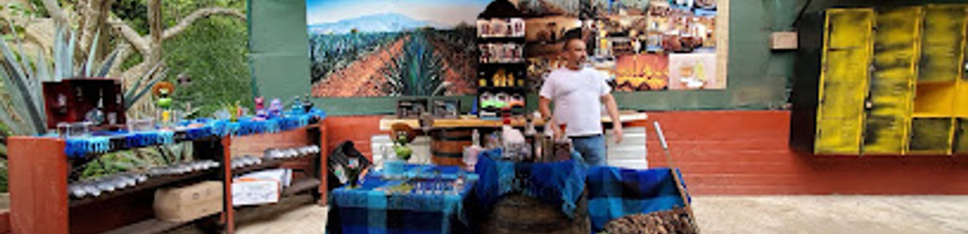 Thrills and Nature at Canopy Indio Adventure Park