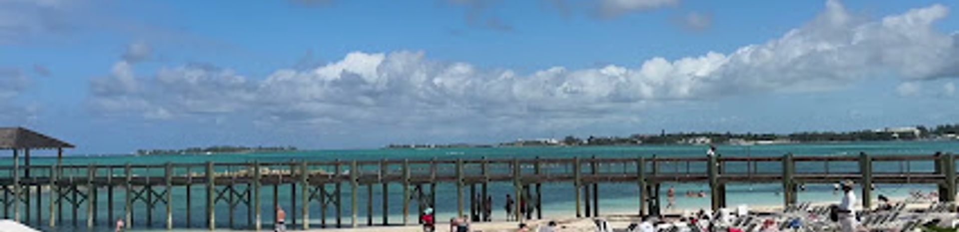 Aviary: A Tropical Oasis of Birds in Nassau