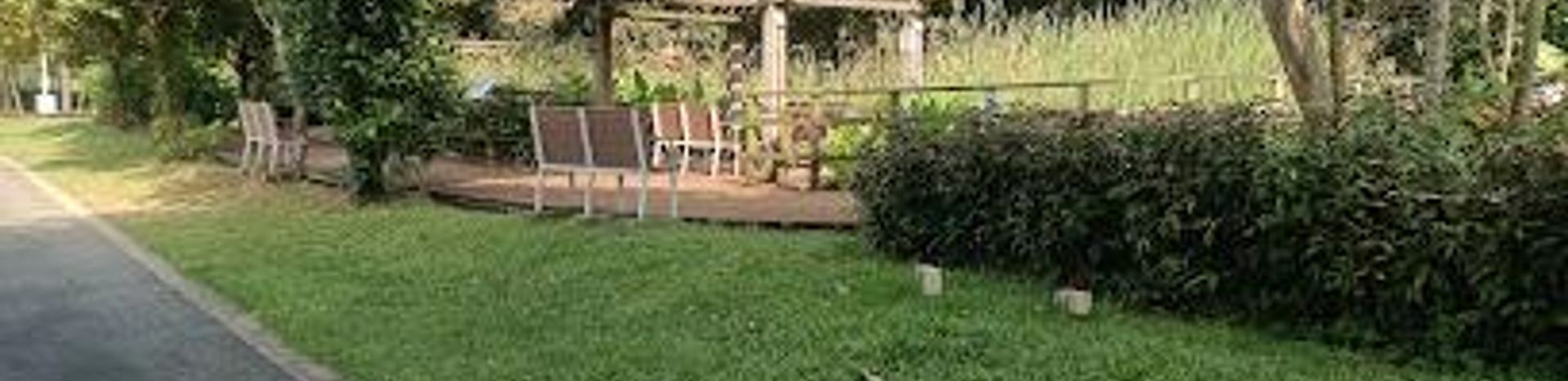 Explore the Serene Alexandra Park Connector