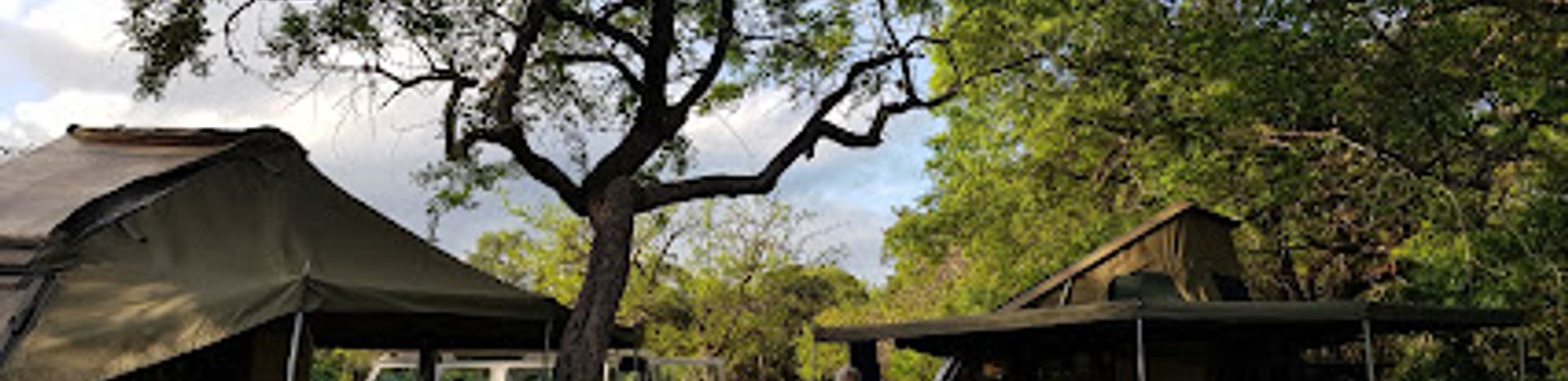 Discover the Serenity of eMshophi Campsite in uMkhuze Game Reserve