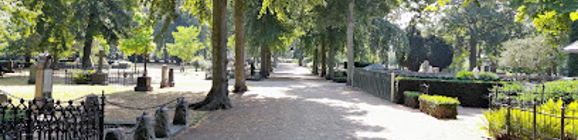 Malmö Old Cemetery: A Tranquil Haven of History