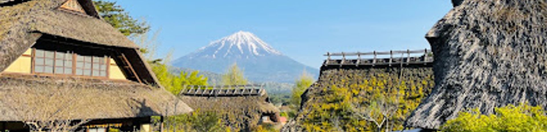 Discover the Charm of Saiko Iyashi-no-Sato Nenba: A Glimpse into ...