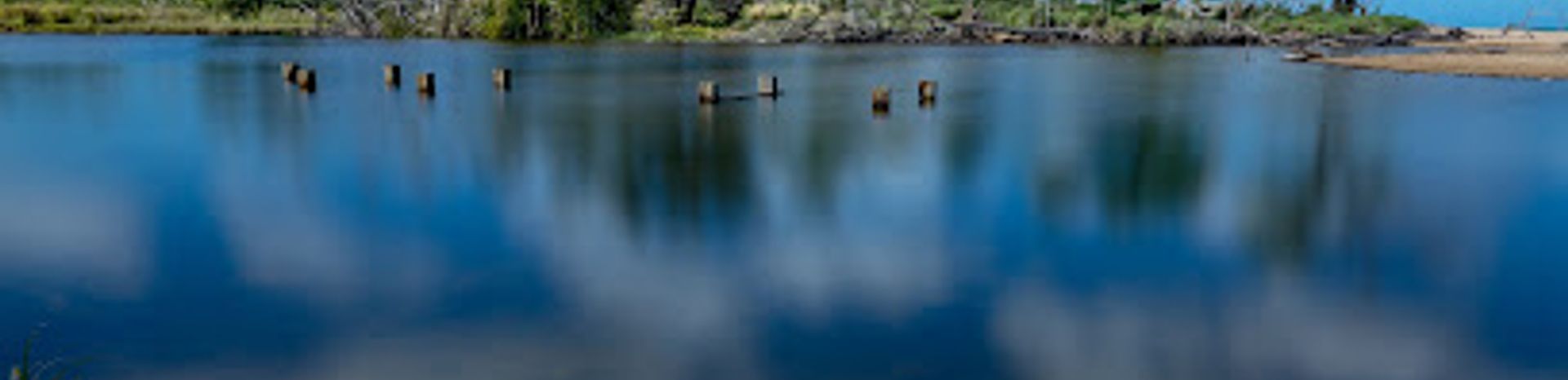 Discover the Natural Beauty of Parqué Colón